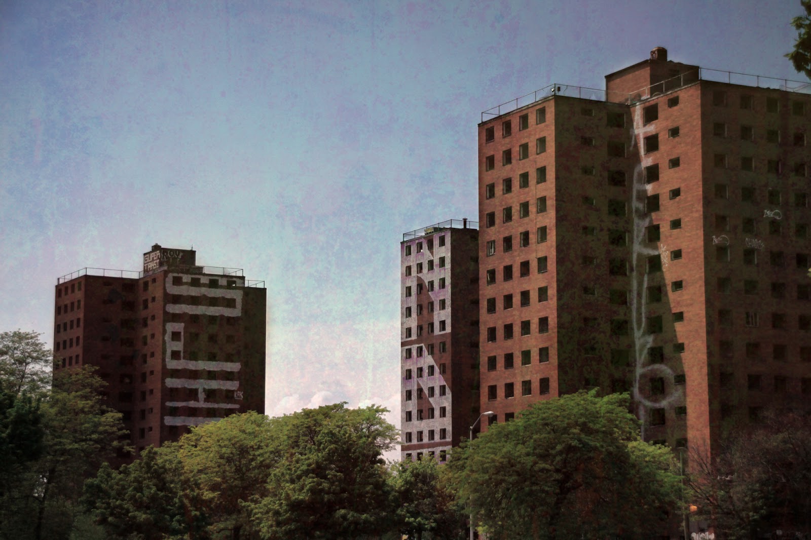 The Orange Door: Brewster Projects: A Visual Legacy