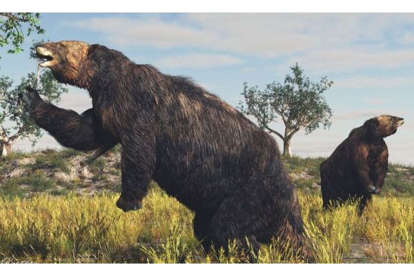 Men's Corner: 10 extinct animals that scientists want to bring back to life