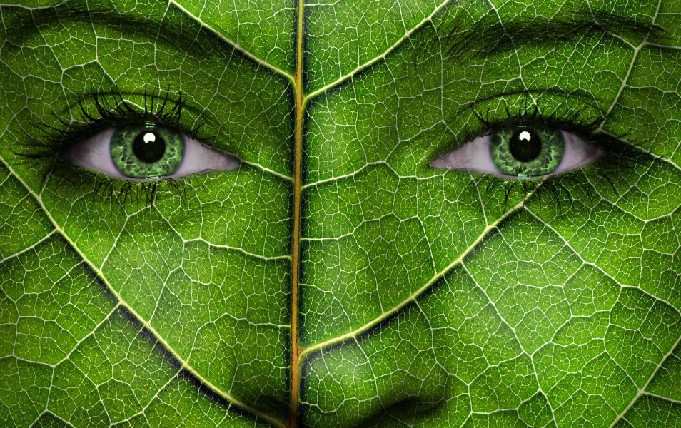 Carbon Footprint Be Ecological carbon-footprint-be-ecological