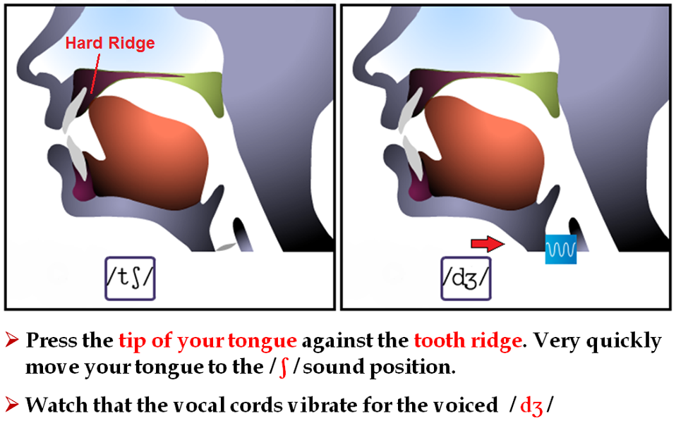 How to pronounce the /tʃ/ sound - IPA phoneme /tʃ/ - Improve your ... How to pronounce the /tʃ/ sound - IPA phoneme /tʃ/ - Improve your ...