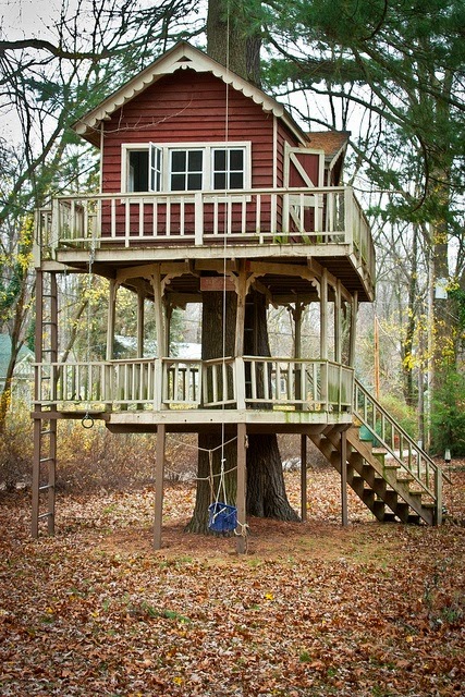 Ella & Otto: Tree houses for kids