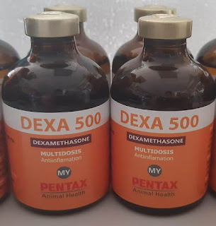 Dexa 500