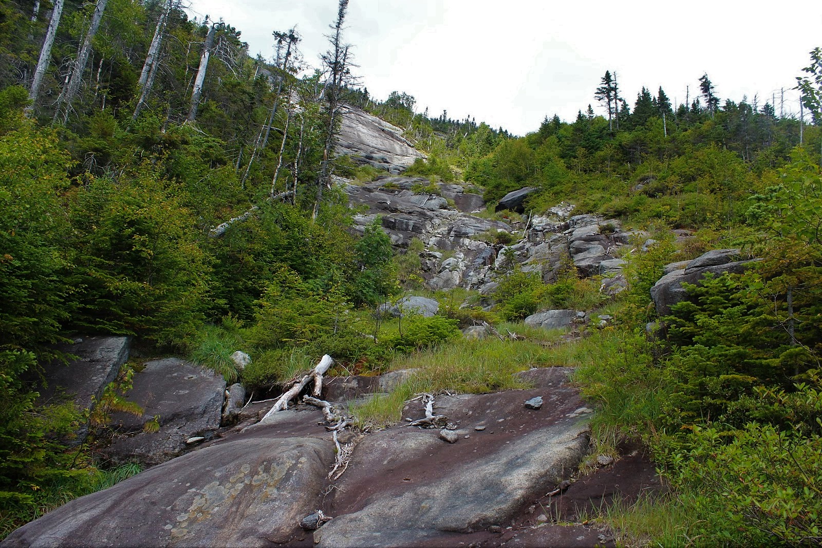 Walking Man 24 7: Mount Colden's SE Slide(Adirondack High Peaks)