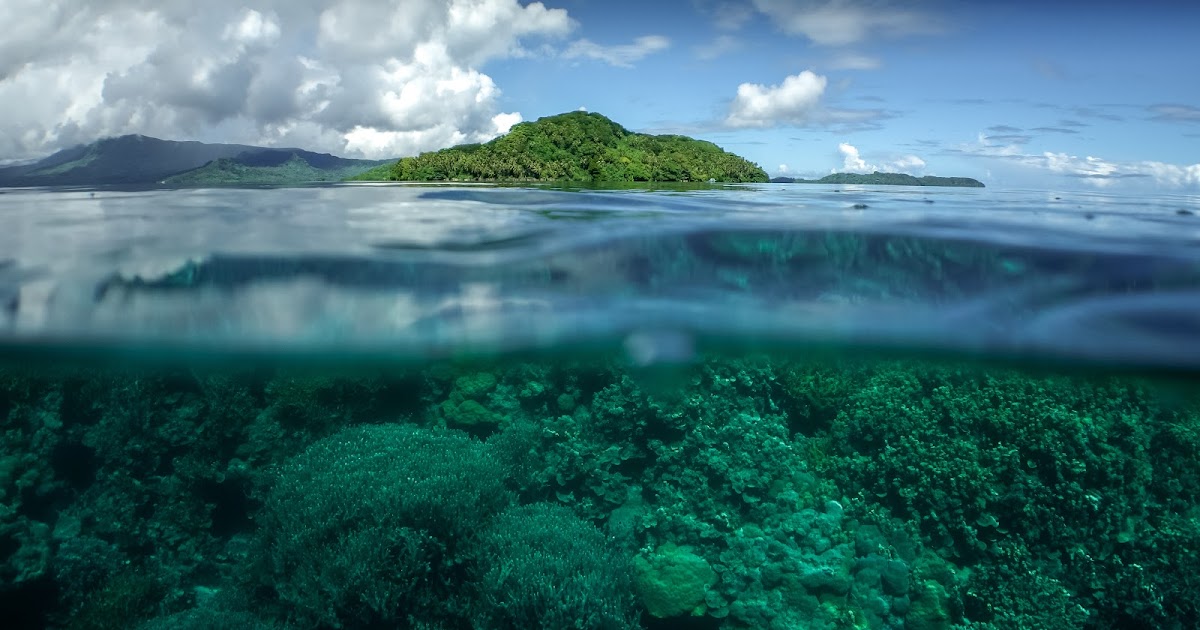 Micronesia - Where Mantas are not micro - Sven's Travel Venues