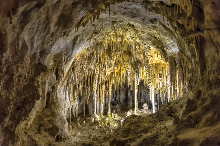 함께 가는 길: Carlsbad Caverns & Guadalupe National Park