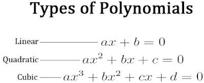 MG Maths: polynomials