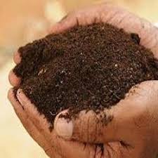 Gobar khad || What Are the Dangers of Cow Compost - Homegardennet.com