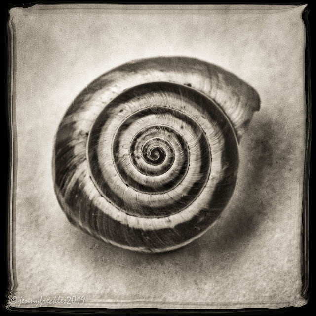 Saltaire Daily Photo: An unimportant object