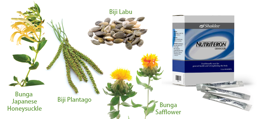 Nutriferon Granules Shaklee - Lindungi Sistem Pertahanan Badan Secara ...