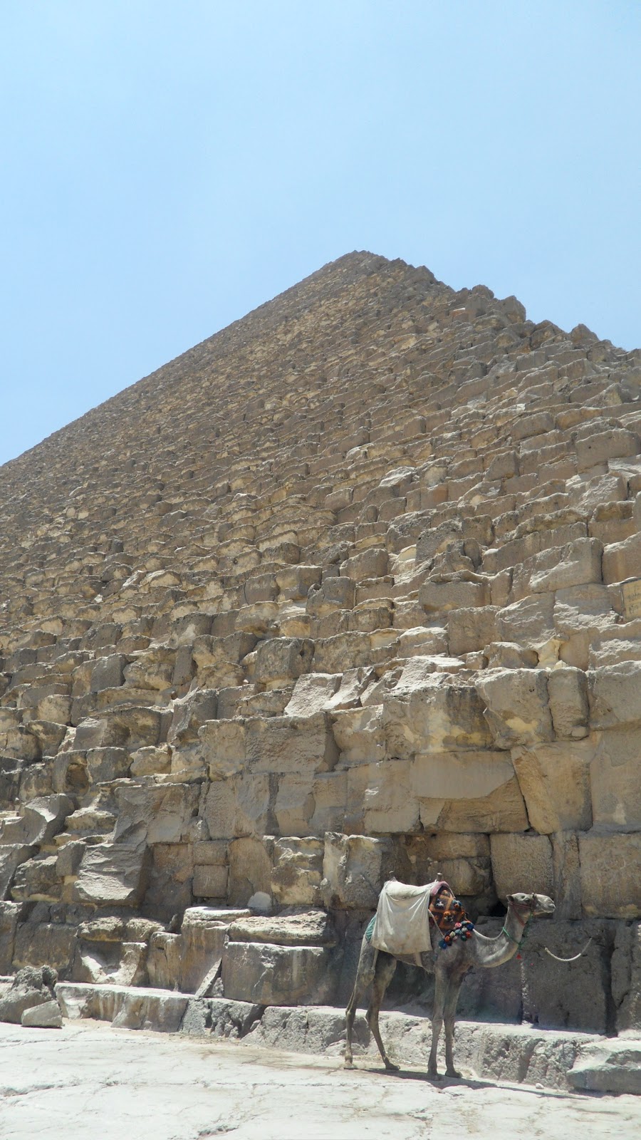 Real Life of an Expat Wife: Egyptian Pyramids in Cairo