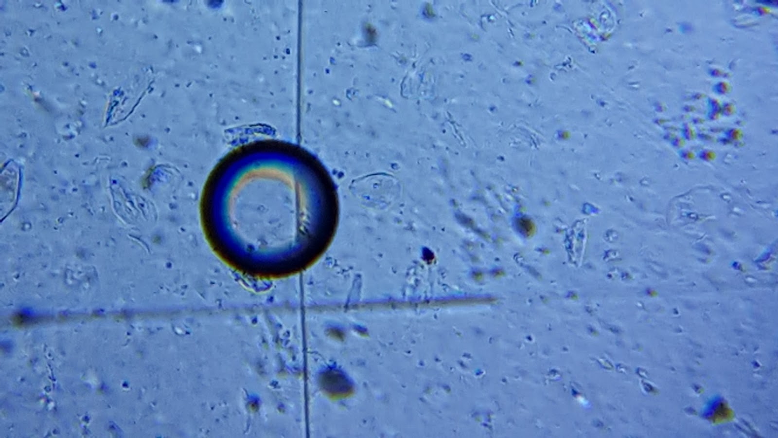 Ben's Journal: Up Close and Personal: Building and Using A $3.00 ...