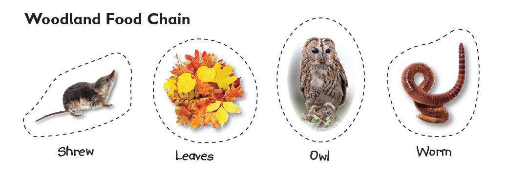 Home Learning Week starting 4th May