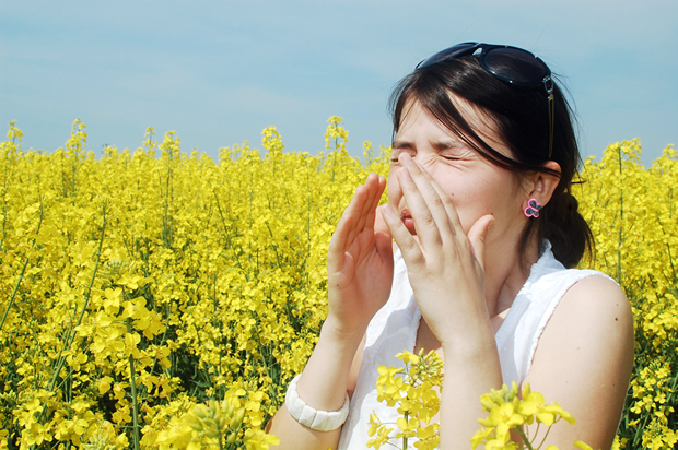 About Health: Allergies