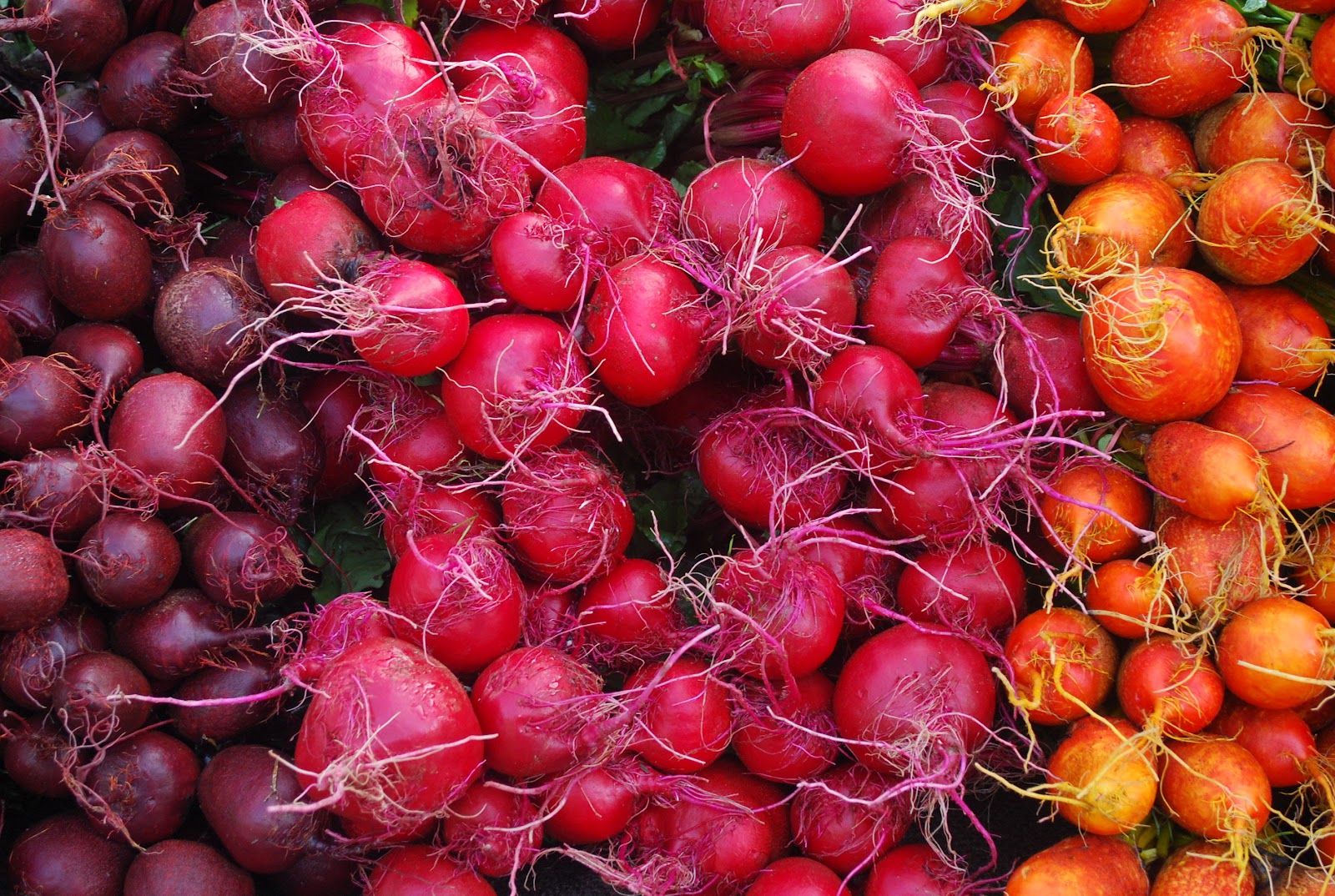 The Philly Food Feed