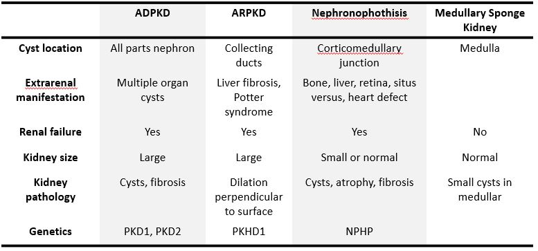 Nephronophthisis
