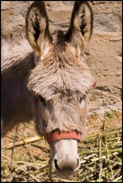 Sarah en Perú: Chillen! Tarma? Ok, wenns sein muss!