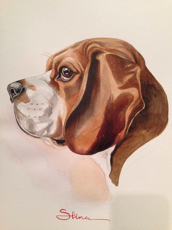 Eyescreamtattoo: Alan!!?? Alan,alan,alan,,,Steve,,?