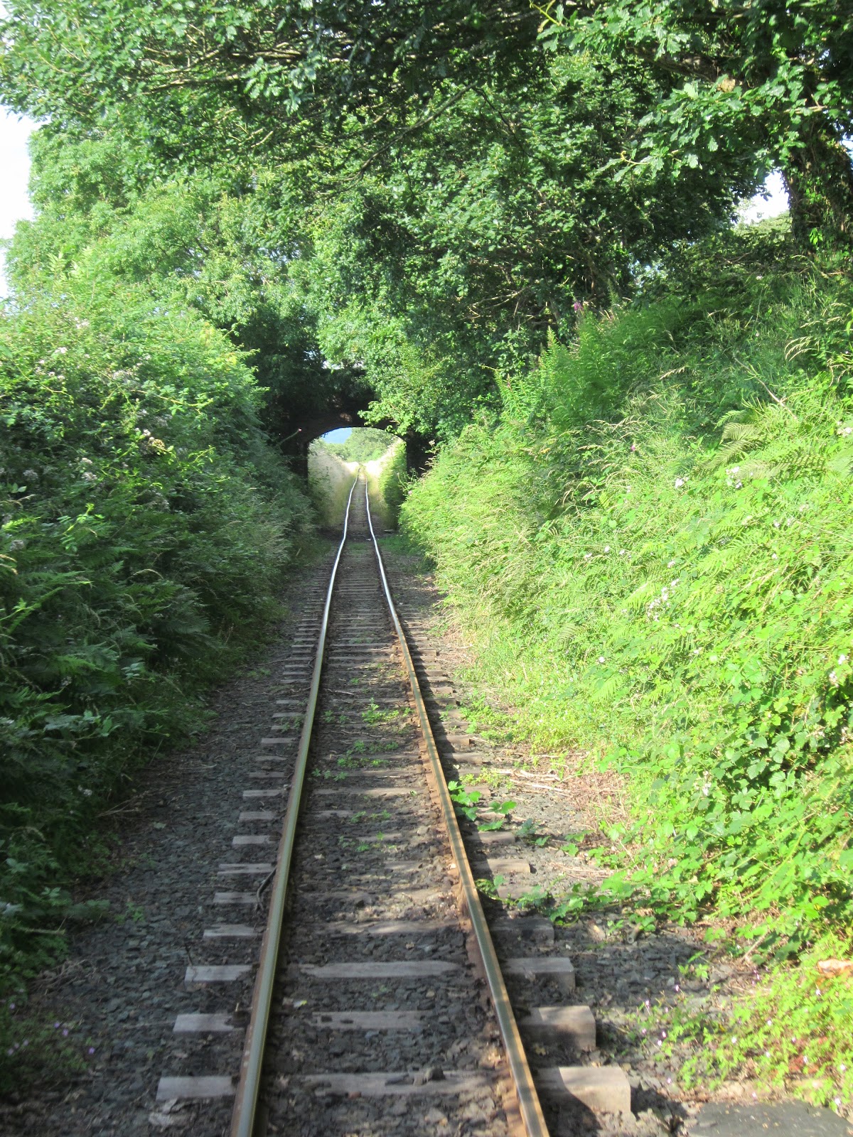 Narrow Gauge Railways UK: Talyllyn Railway