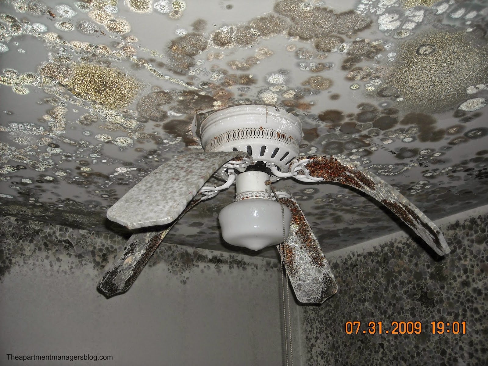 The Apartment Manager's Blog : The Sad Ceiling Fan