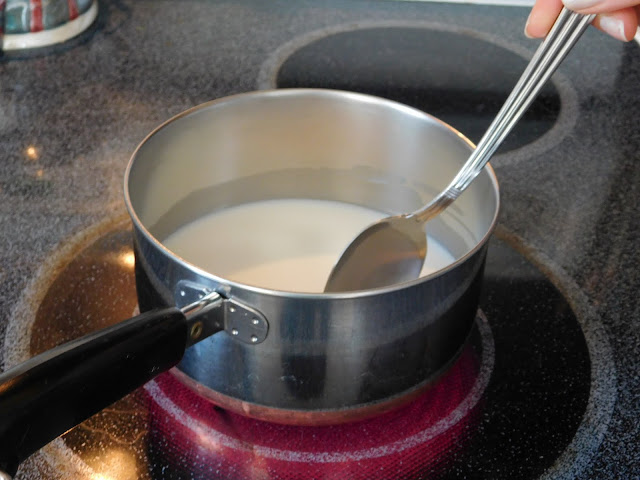 100 Days of Science #13-- Making Plastic From Milk