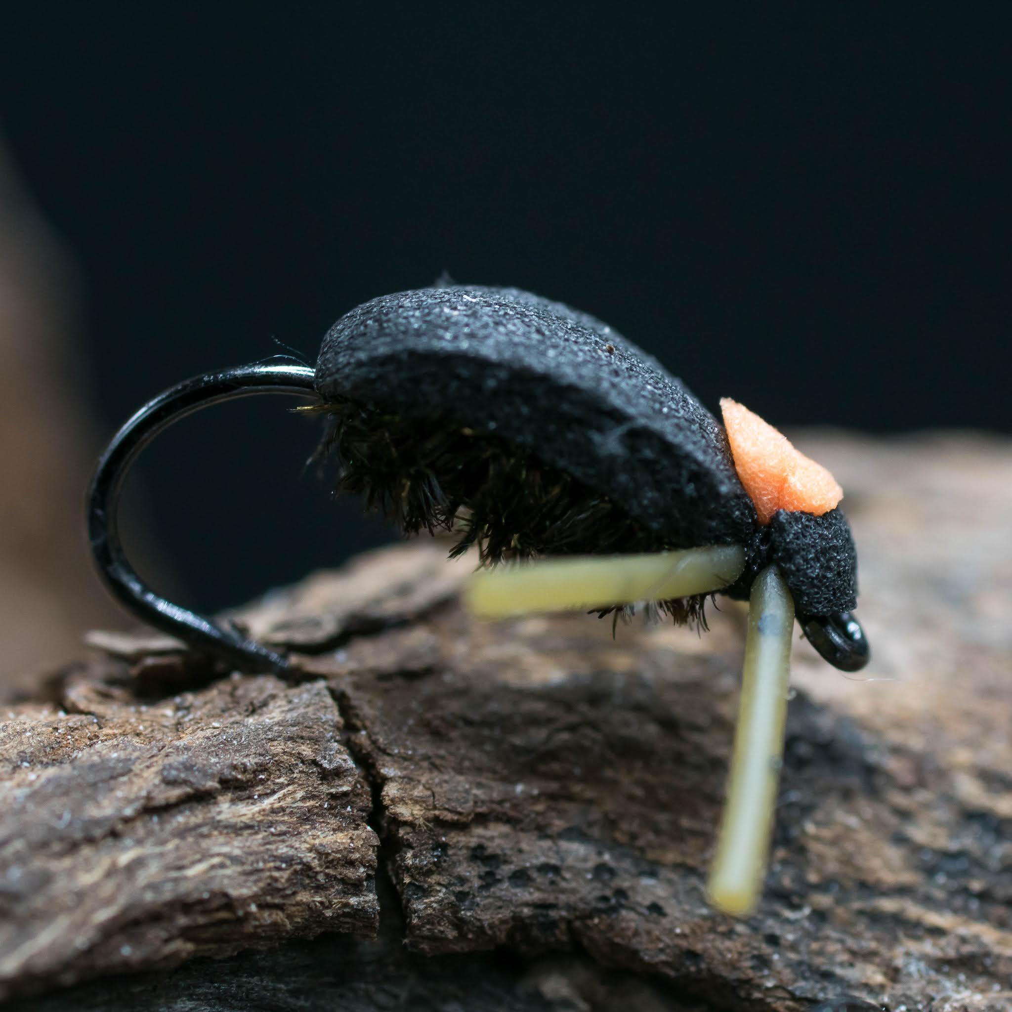 50 På Fluga: Feature Fly of the Month: August - Bugs, Insects and ...