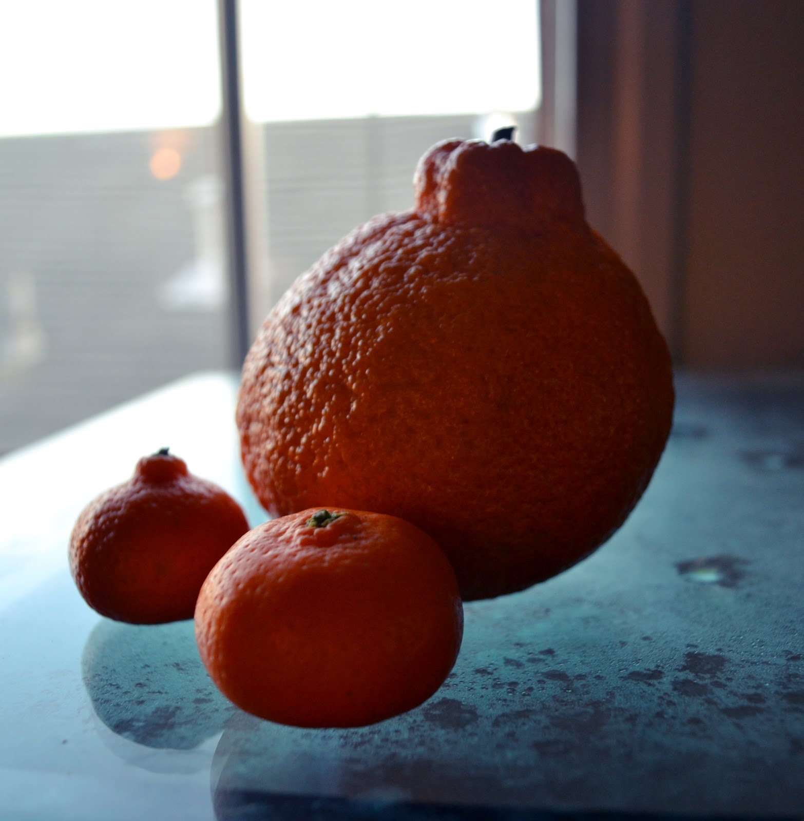 The Art of Erin Smith: Kyushu Oranges and Sumo Oranges