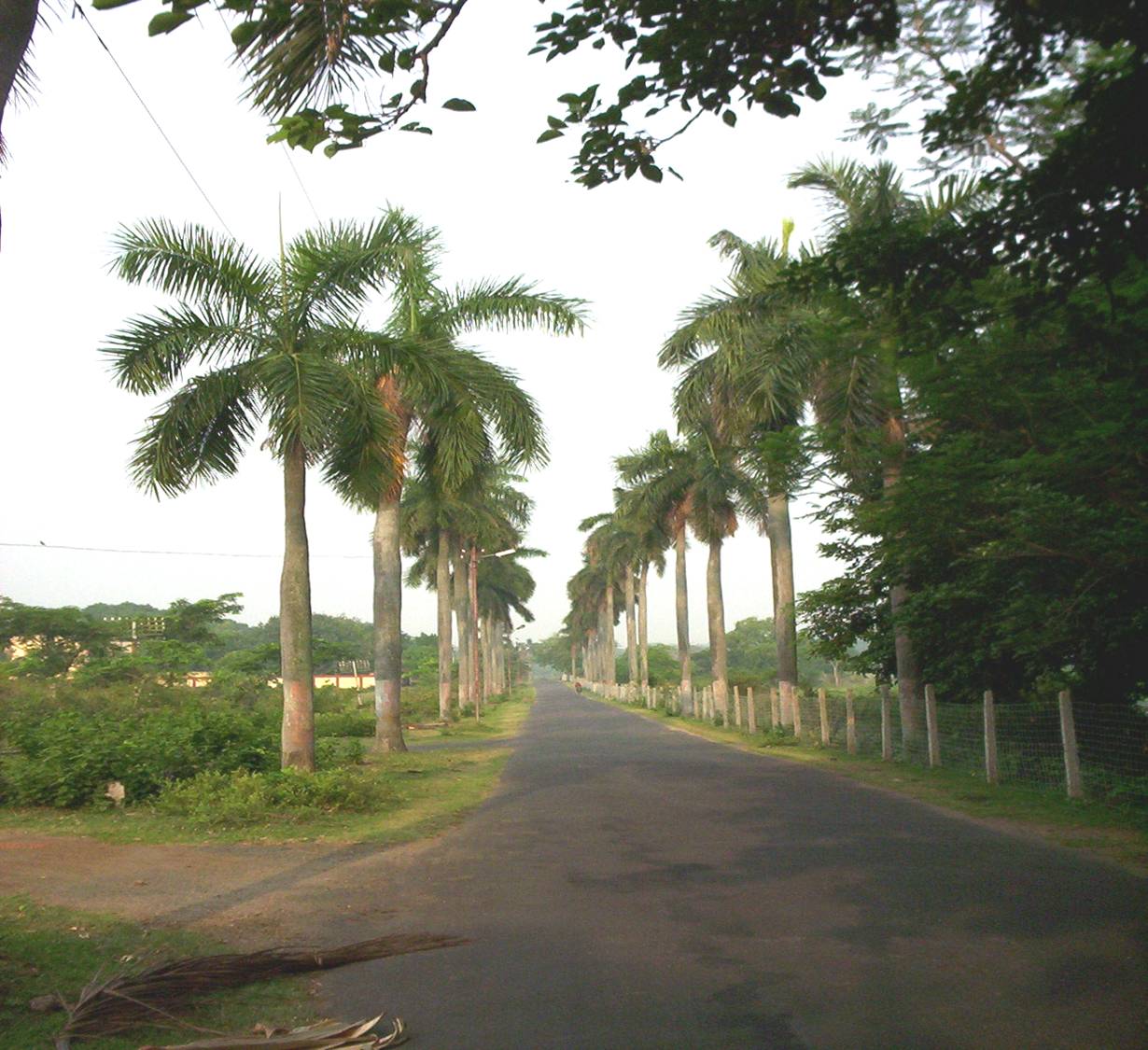 Chittaranjan: A brief story of Chittaranjan Town.