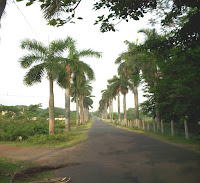 Chittaranjan: A brief story of Chittaranjan Town.