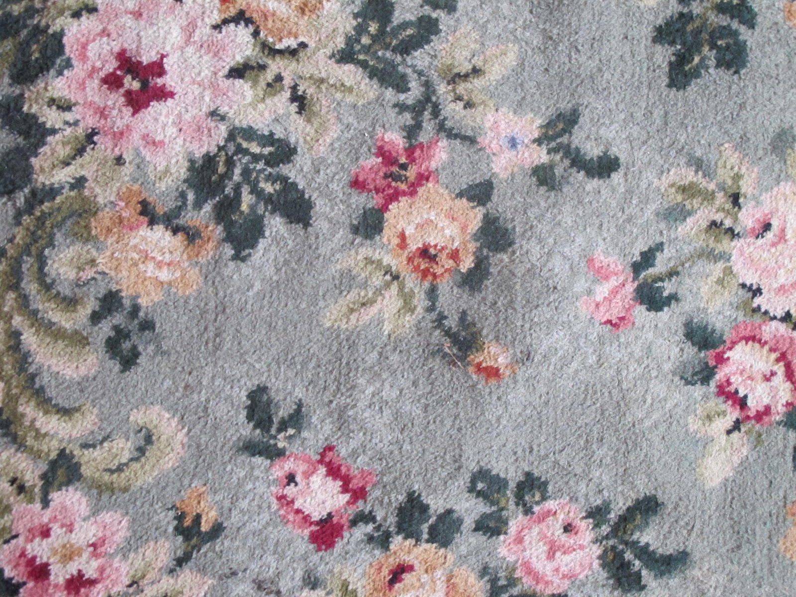 The Flower Appreciation Society: Appreciating this floral carpet...