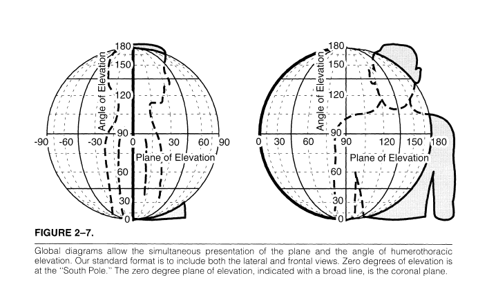 Shoulder Arthritis / Rotator Cuff Tears: causes of shoulder pain ...