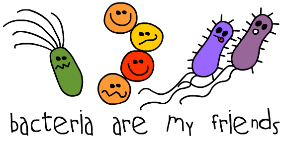 The Benefit Of Bacteria For Human Life | Health On Life