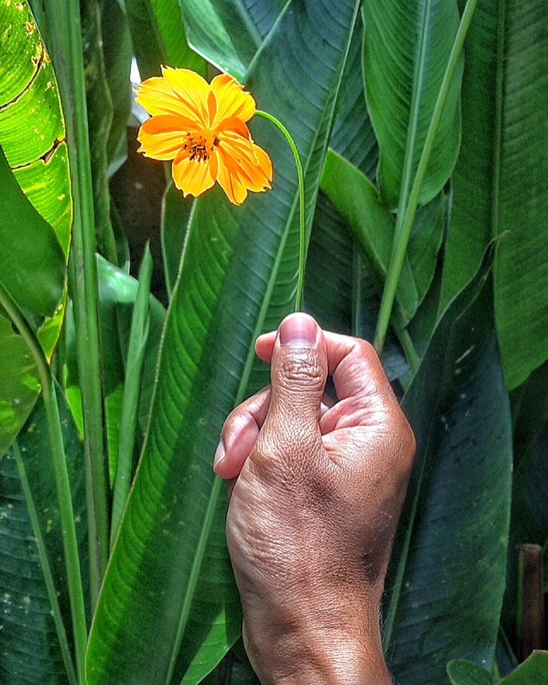 Niel: 5 Bahasa Cinta (5 Love Languages)