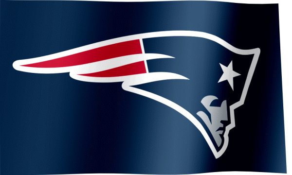 Patriots Revolutionary War Symbol