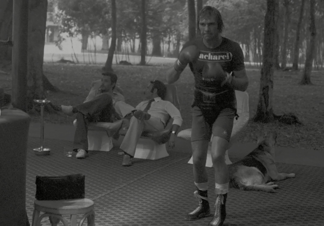 ALAIN DELON: AMISTAD CON CARLOS MONZÓN