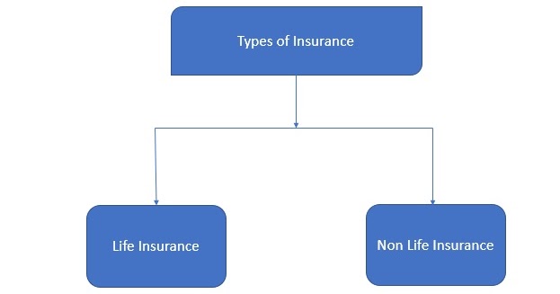 Types of Insurance - Insurancelogy
