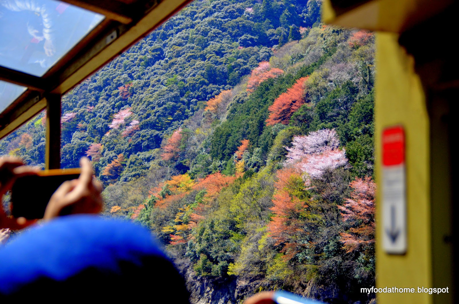 Sagano Romantic Train, Arashiyama Kyoto : #11- Chasing The Sun Day 4