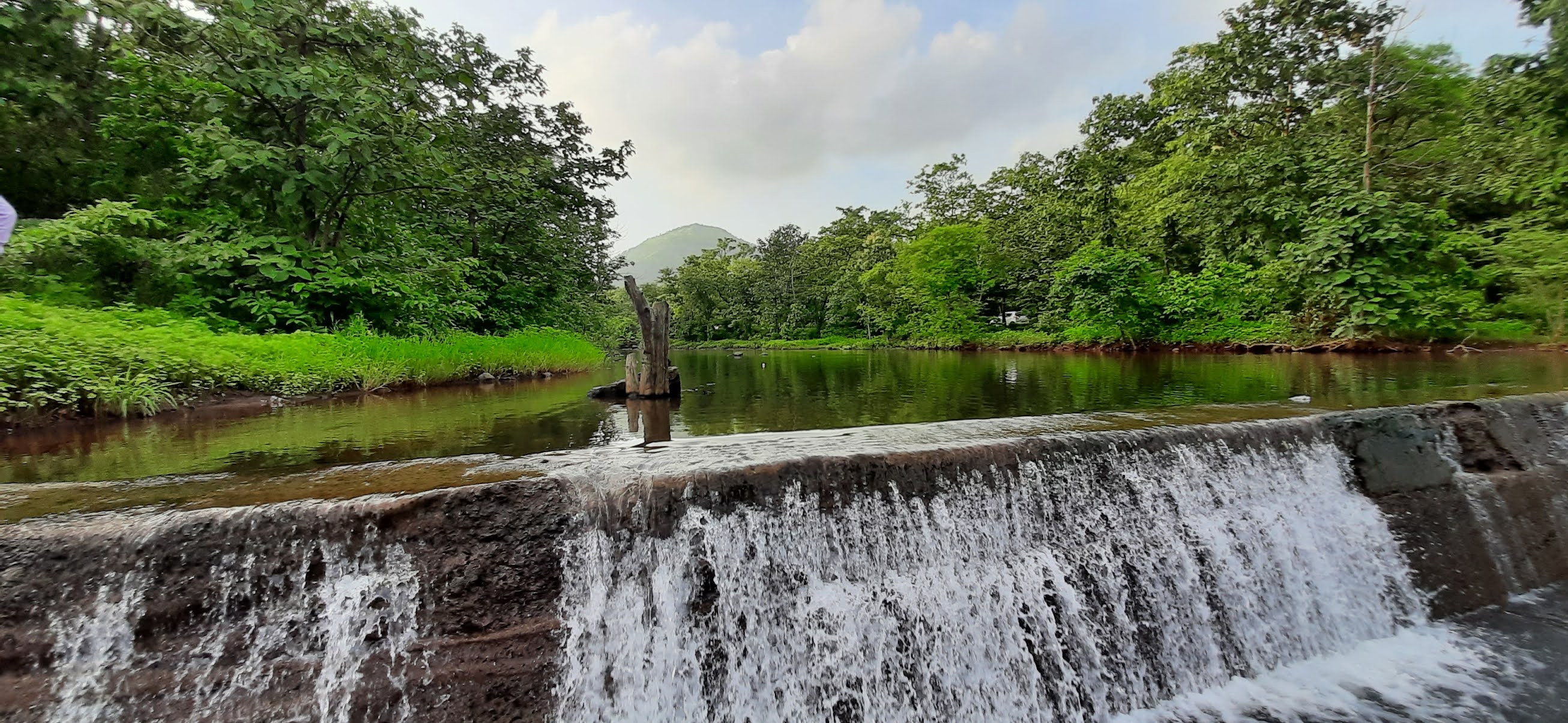 Sharad Pandhare's Educational Blog: Incredible Nature