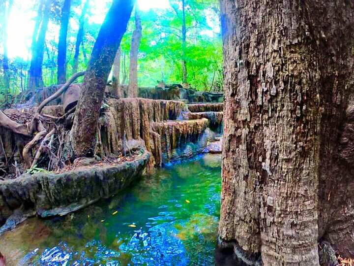 Traveling life srilanka: #hunugal pokuna #හුණුගල්_පොකුණ #(Limestone pond)