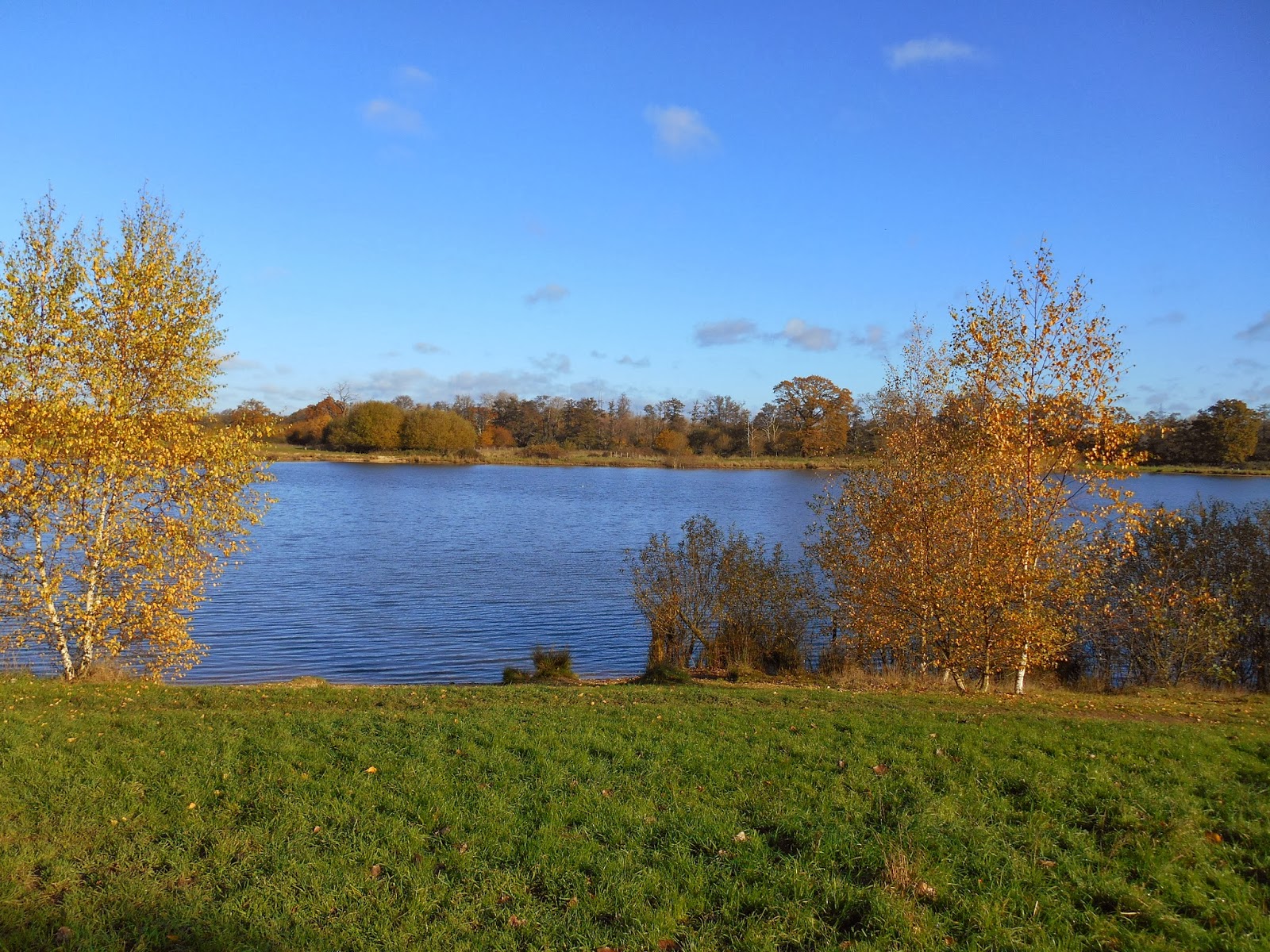 Nature Notes and Observations: Testwood Lakes near Totton