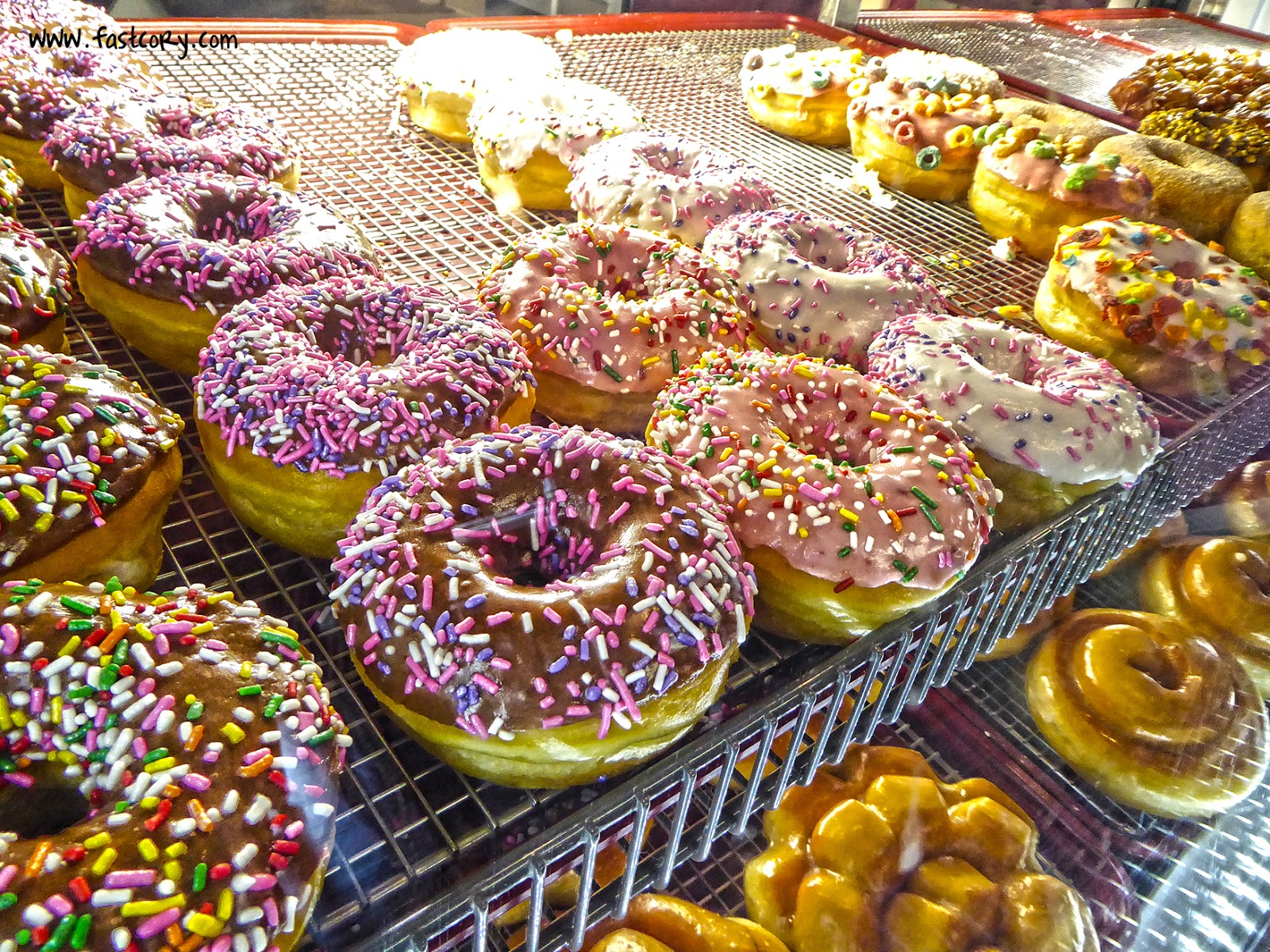 Fast Cory: How To Run 100 Miles Fueled By Donuts