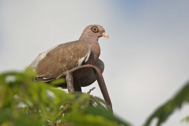 Outdoor Photography: Weerzien met Curacao