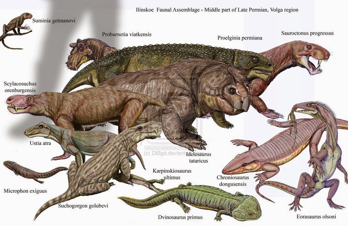 aulabiogeotoni: 1º BACHILLERATO. GALERÍA DE FÓSILES