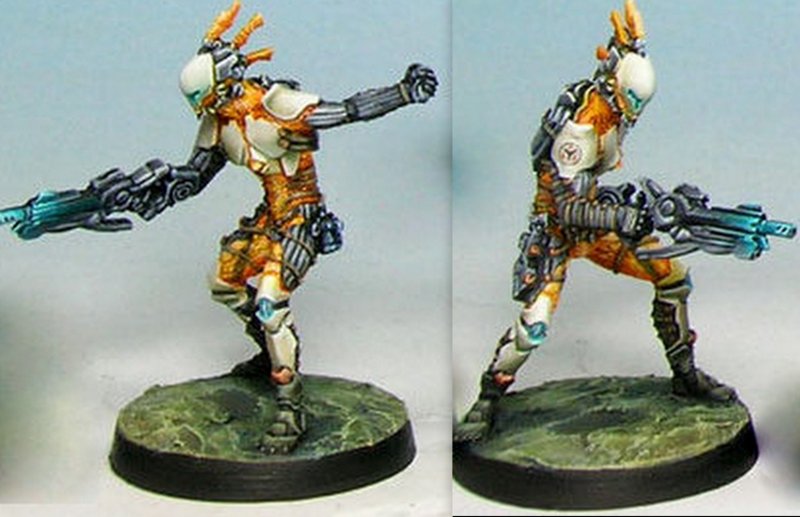 Fresh Tzechi digester: "Sakiels" the masters of the triads