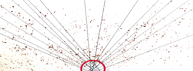 All About Forensic & Investigative Sciences: Blood Spatter Analysis