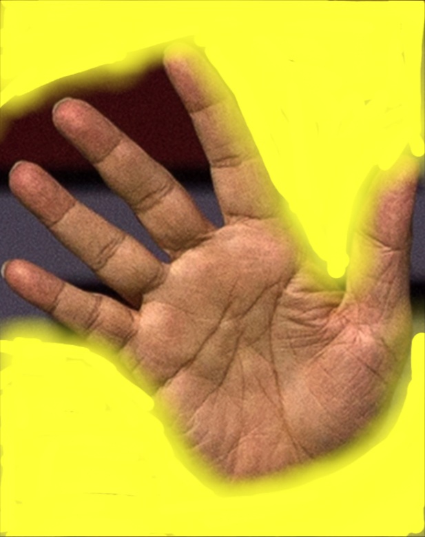 HINDU ASTROPALMISTRY DEMYSTIFIED: Narendra Modi Palm Analysis