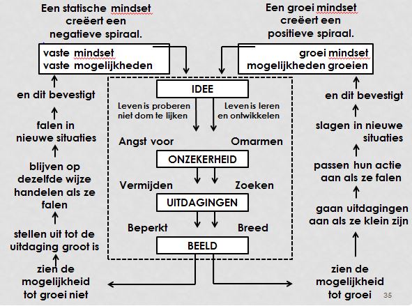 Mindset en de reactie op een mentale of fysieke uitdaging.: De ...