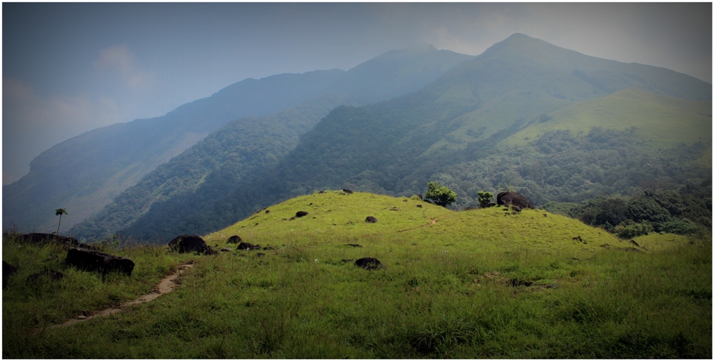 Journey with my Camera: Kumara Parvatha Trek