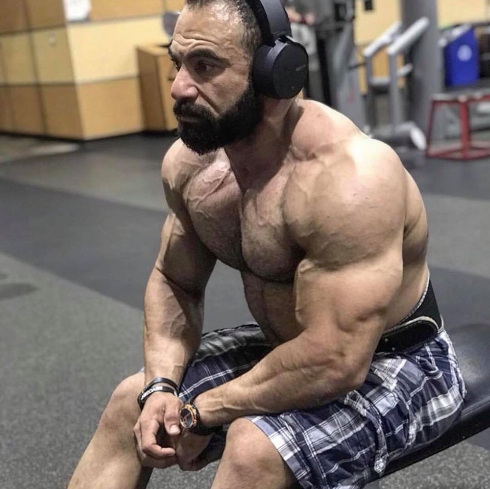 world bodybuilders pictures: unites sstaes of american bodybuilder ...