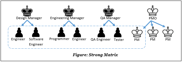 MANAGEMENT YOGI: PMP Protein: Types of Organizational Structures