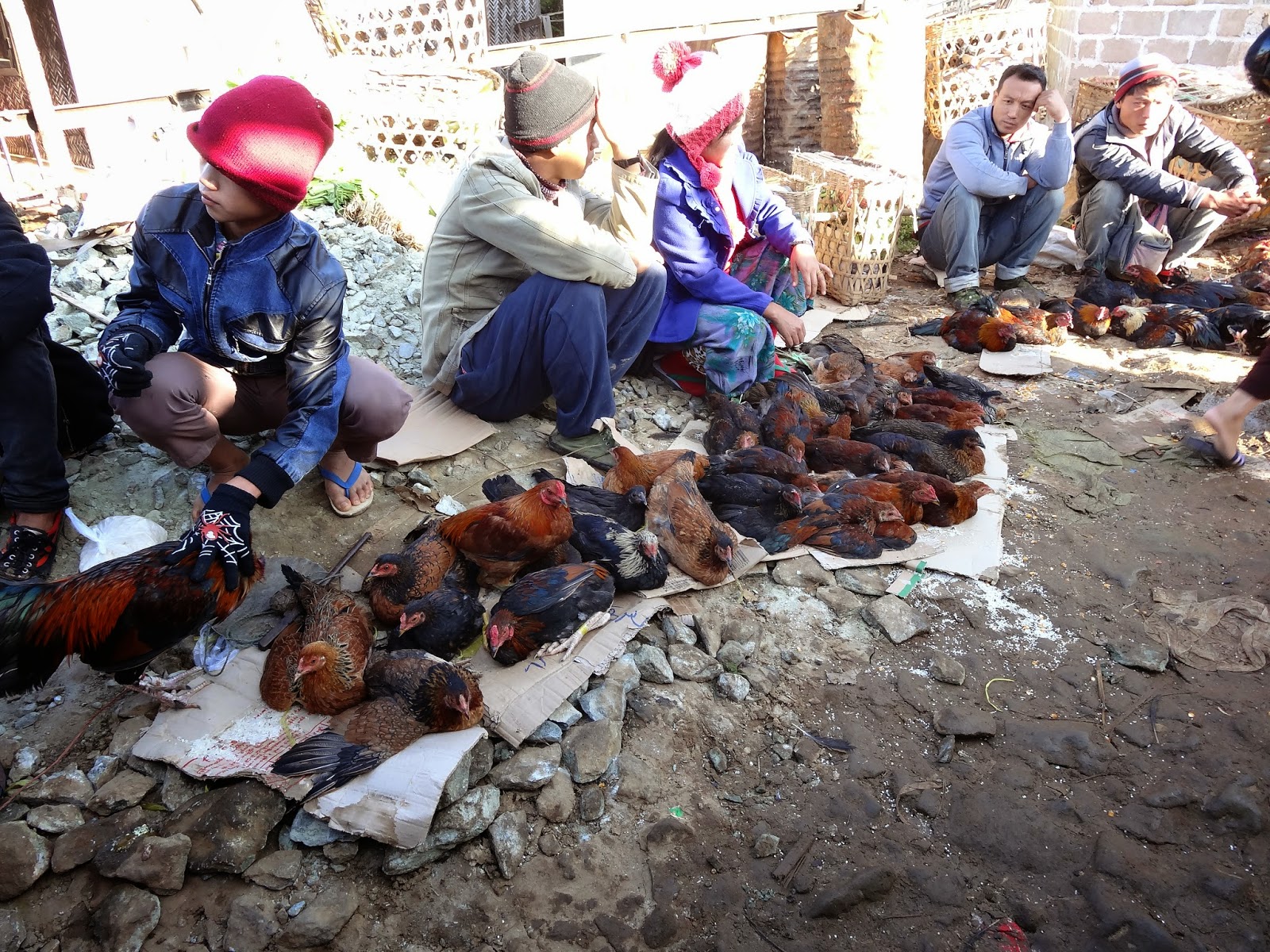 Natural History Museum of L.A. Minblog: Myanmar part 3 - Mogok (2)